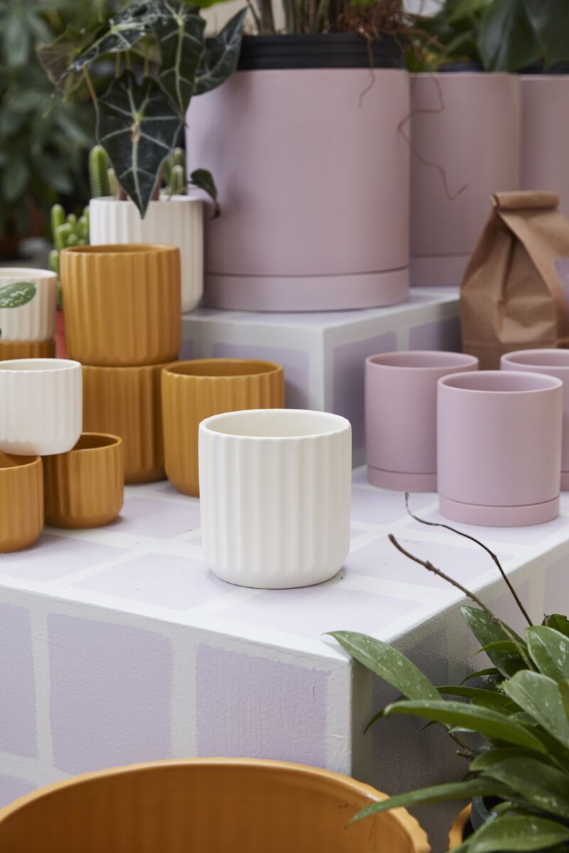 Jasmine Pot - 4” Planter – Brumley & Bloom