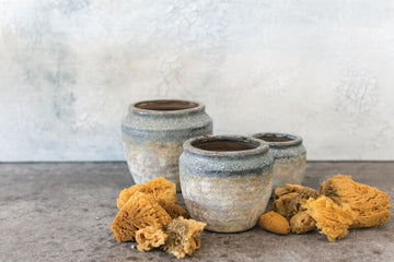 Brumley & Bloom - Houseplants, Pottery, Floral Design, and Decor.