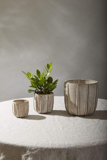 Brumley & Bloom - Houseplants, Pottery, Floral Design, and Decor.